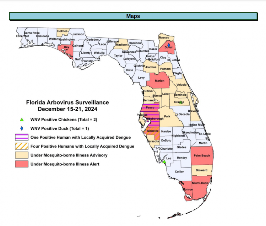 11.08.25 - USA: Lokale Dengue Fälle in Florida